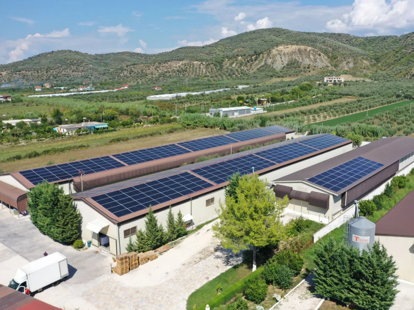 Pularia Veza e Mengjesit - Vega Group